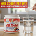 L-glutamine supplement for digestive support