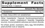 l-glutamine supplement for immune support