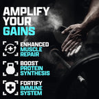 L-Glutamine supplement for muscle support