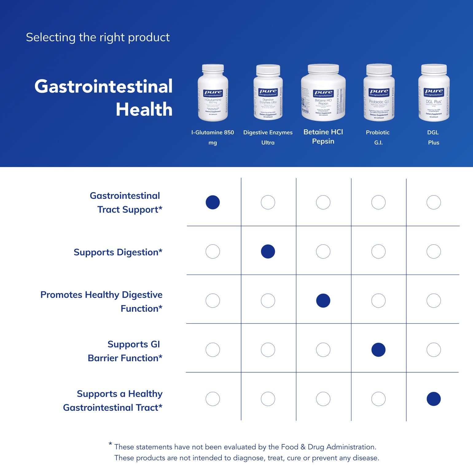 l-glutamine to support immune function