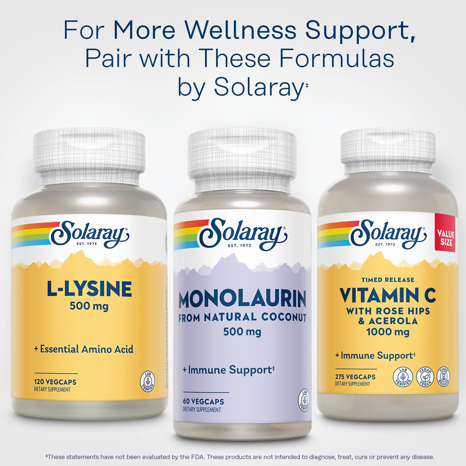 l-lysine 500 mg for daily wellness