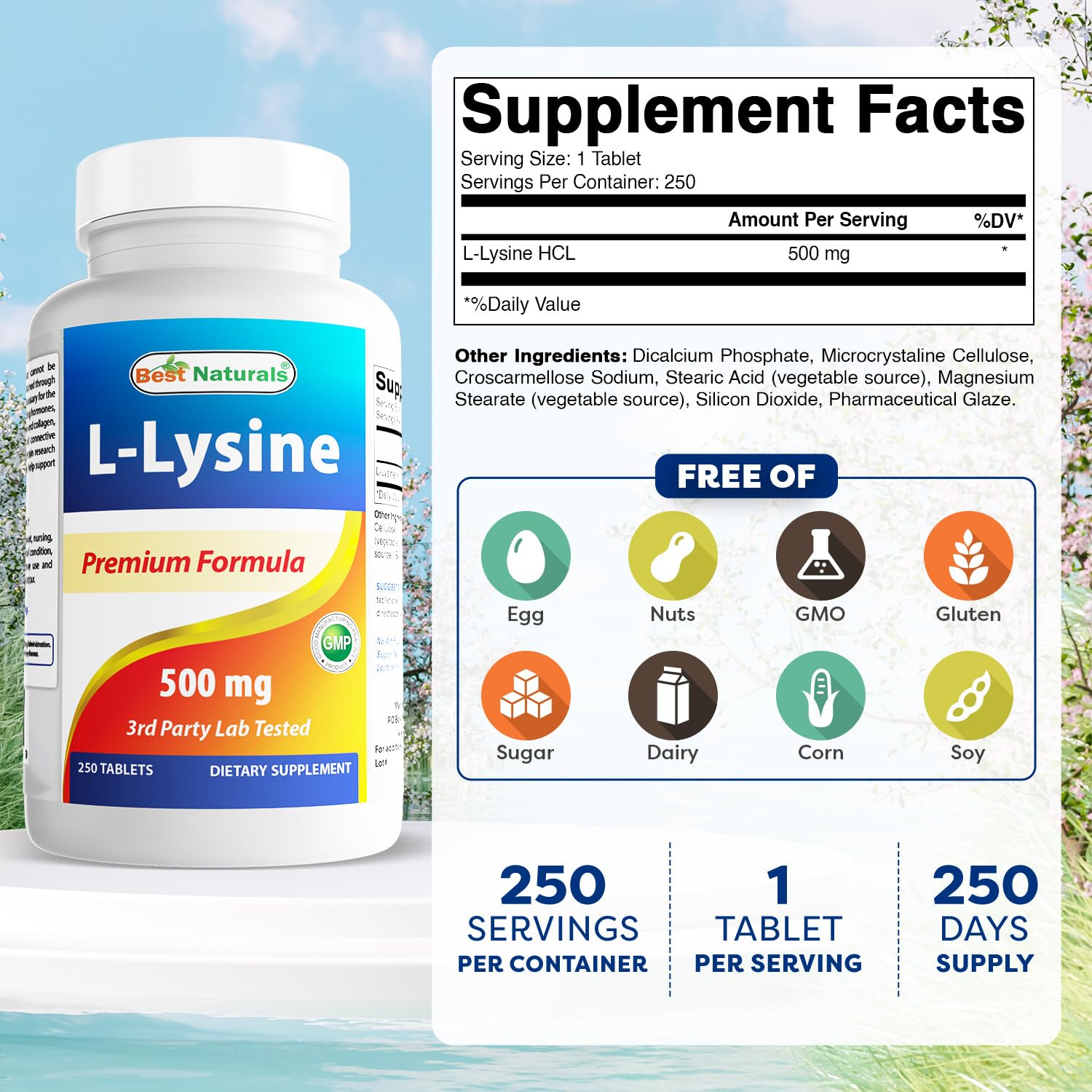 l-lysine benefits for immune support