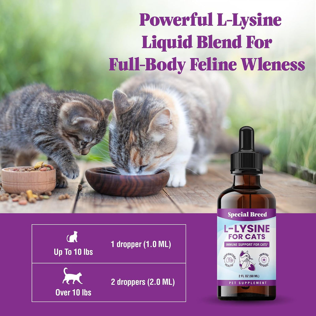 l-lysine drops for overall wellness
