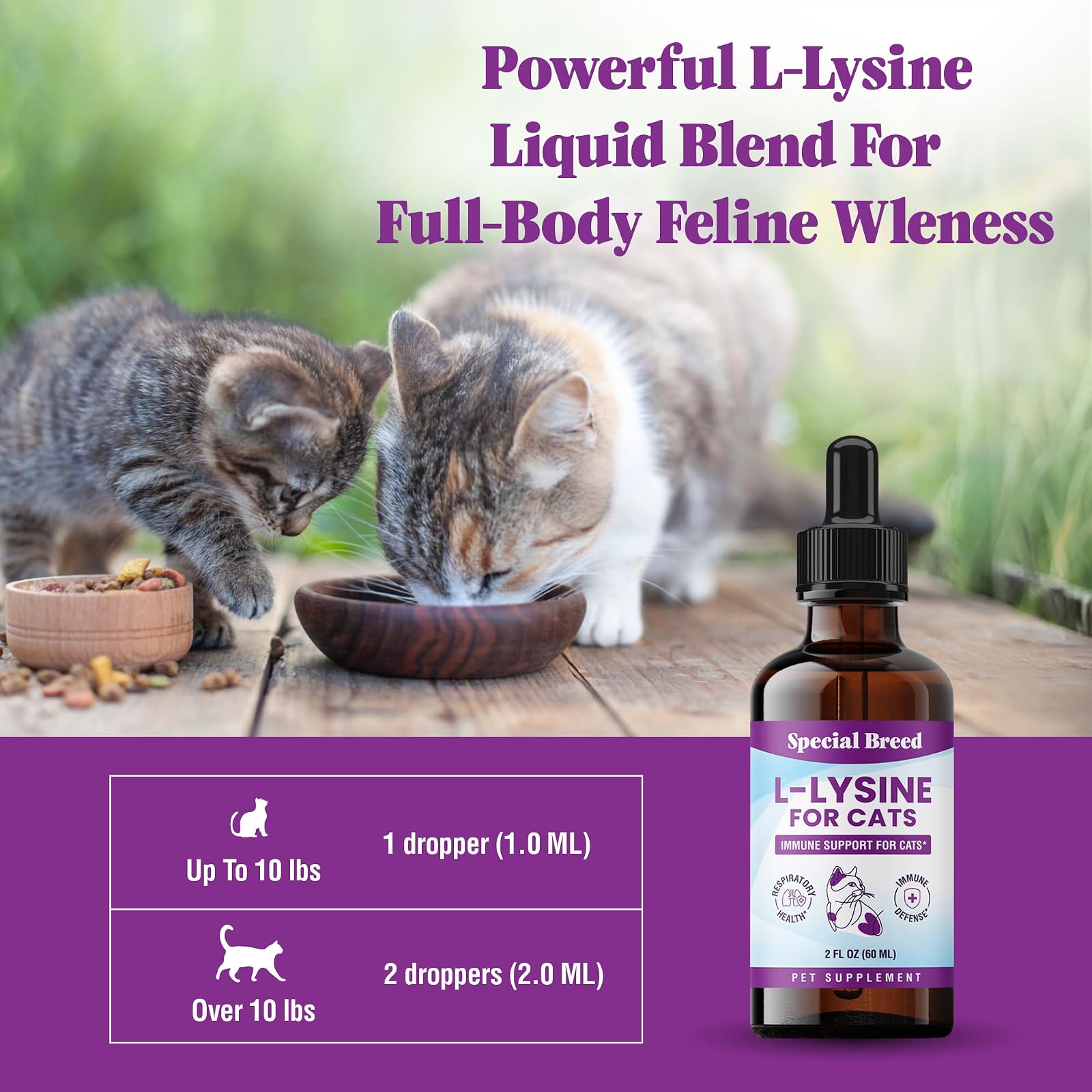 l-lysine drops for overall wellness