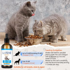 l-lysine for cat respiratory health