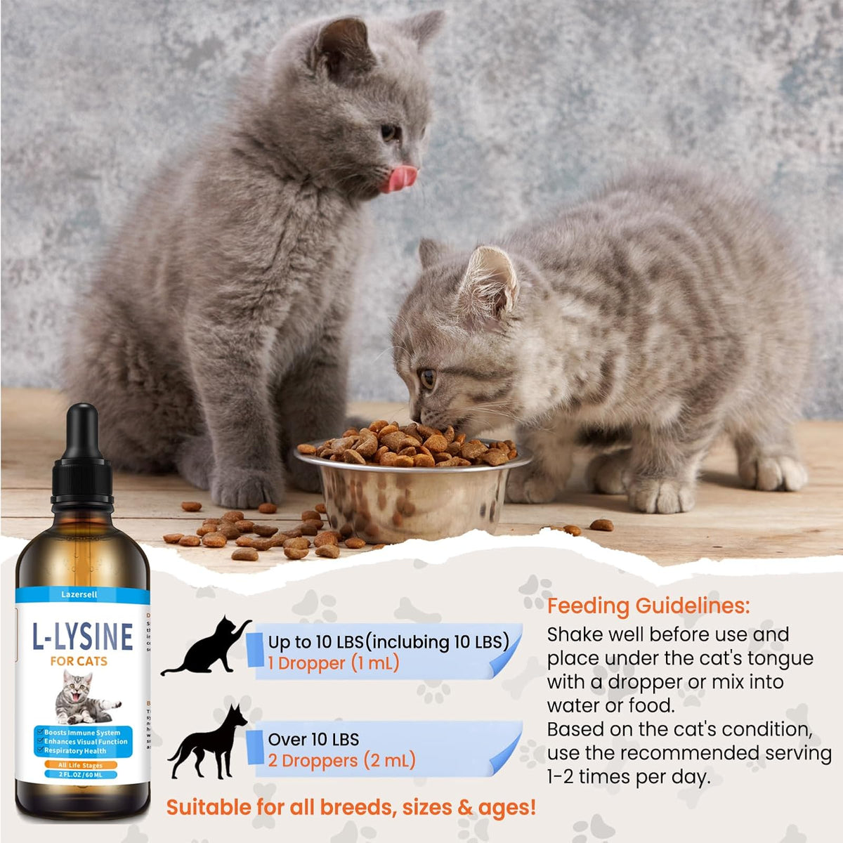 l-lysine for cat respiratory health