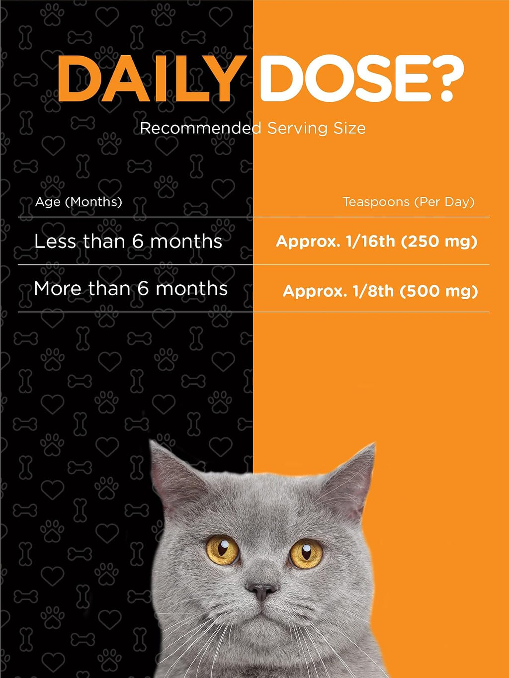 l-lysine for cats and pet health