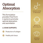 l-lysine for cats dietary aid