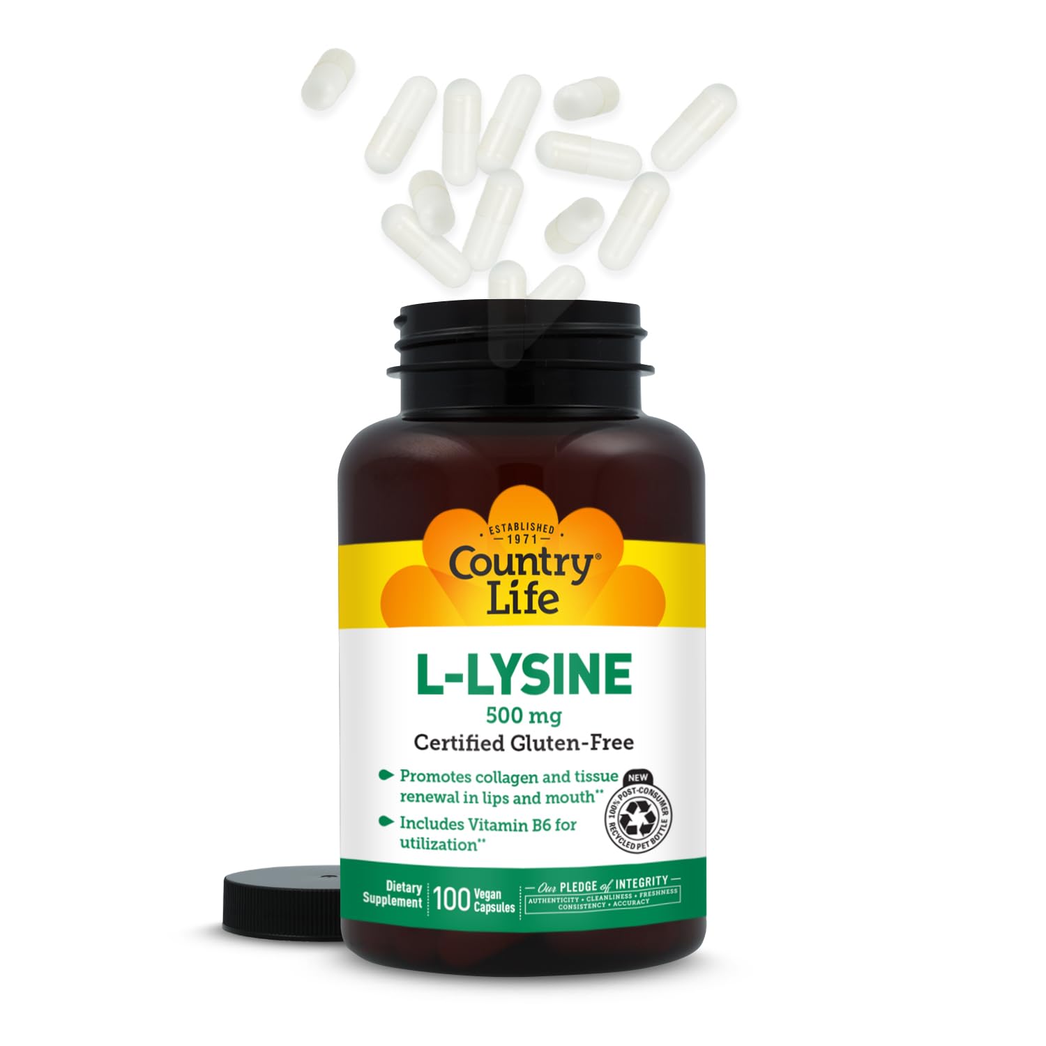 L-Lysine for cats health supplement