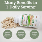l-lysine for cats health