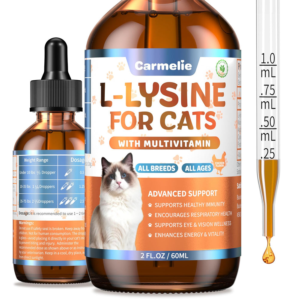 L-Lysine for cats immune support