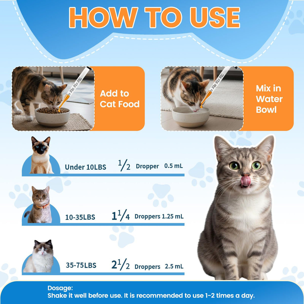 L-Lysine for cats respiratory health