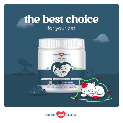 l-lysine for cats with cold sores