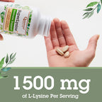 l-lysine for cold sore relief