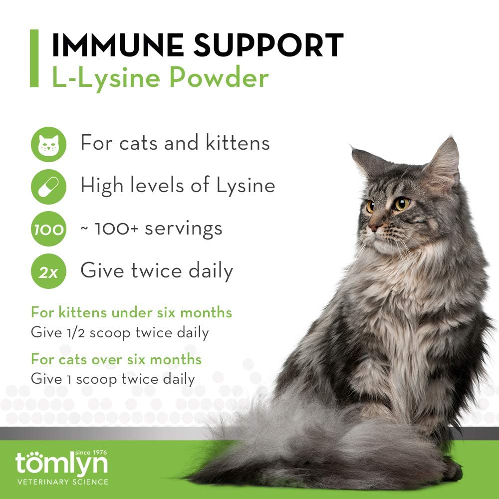 l-lysine for cold sores in cats