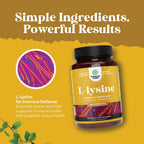 l-lysine for cold sores relief