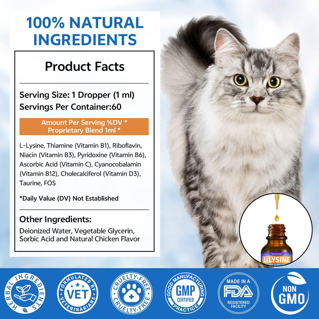 l-lysine for healthy cat eyes