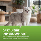 L-Lysine for immune support