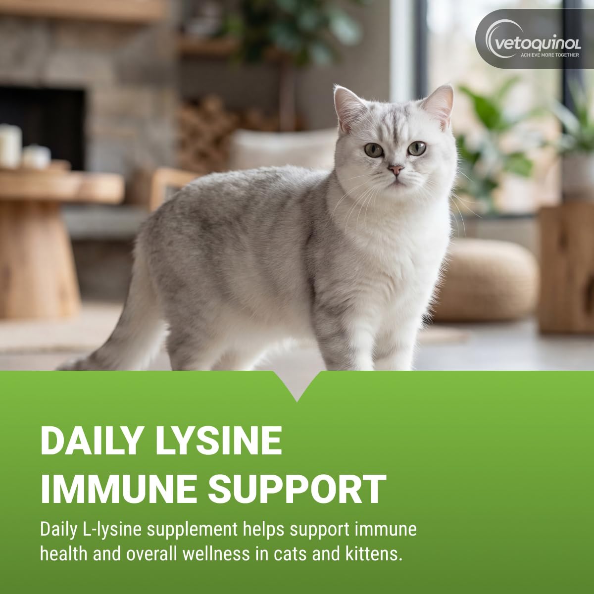 L-Lysine for immune support