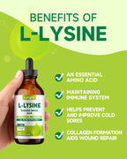 L-Lysine immune support supplement