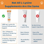 L-Lysine paste for cat respiratory health