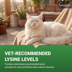 l-lysine powder for cold sores