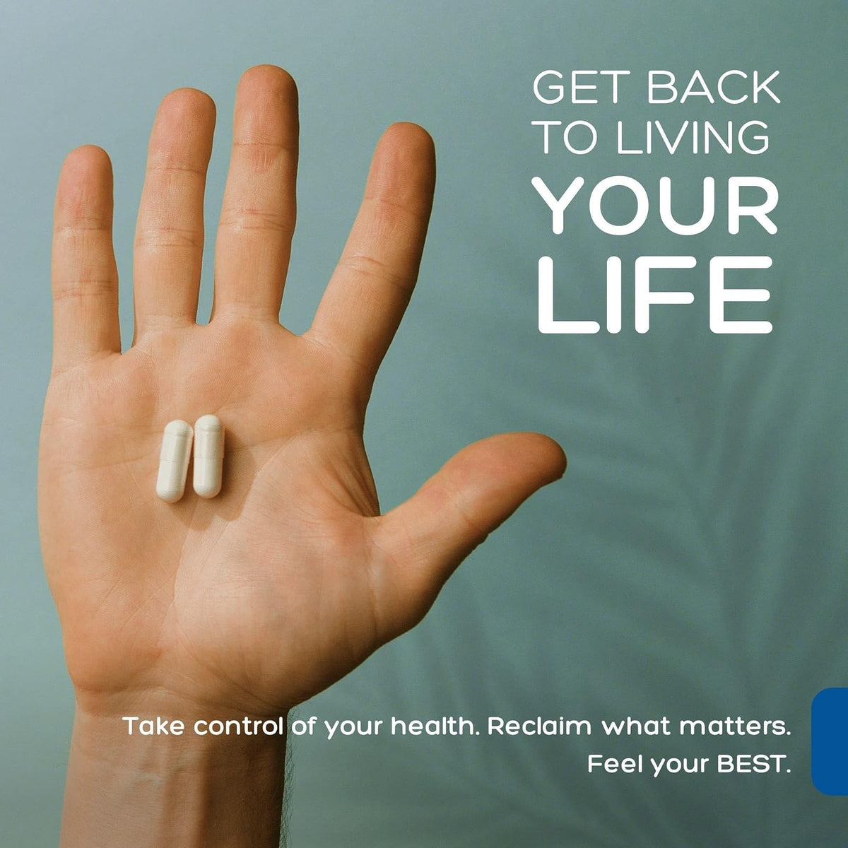 l-lysine powder for daily wellness