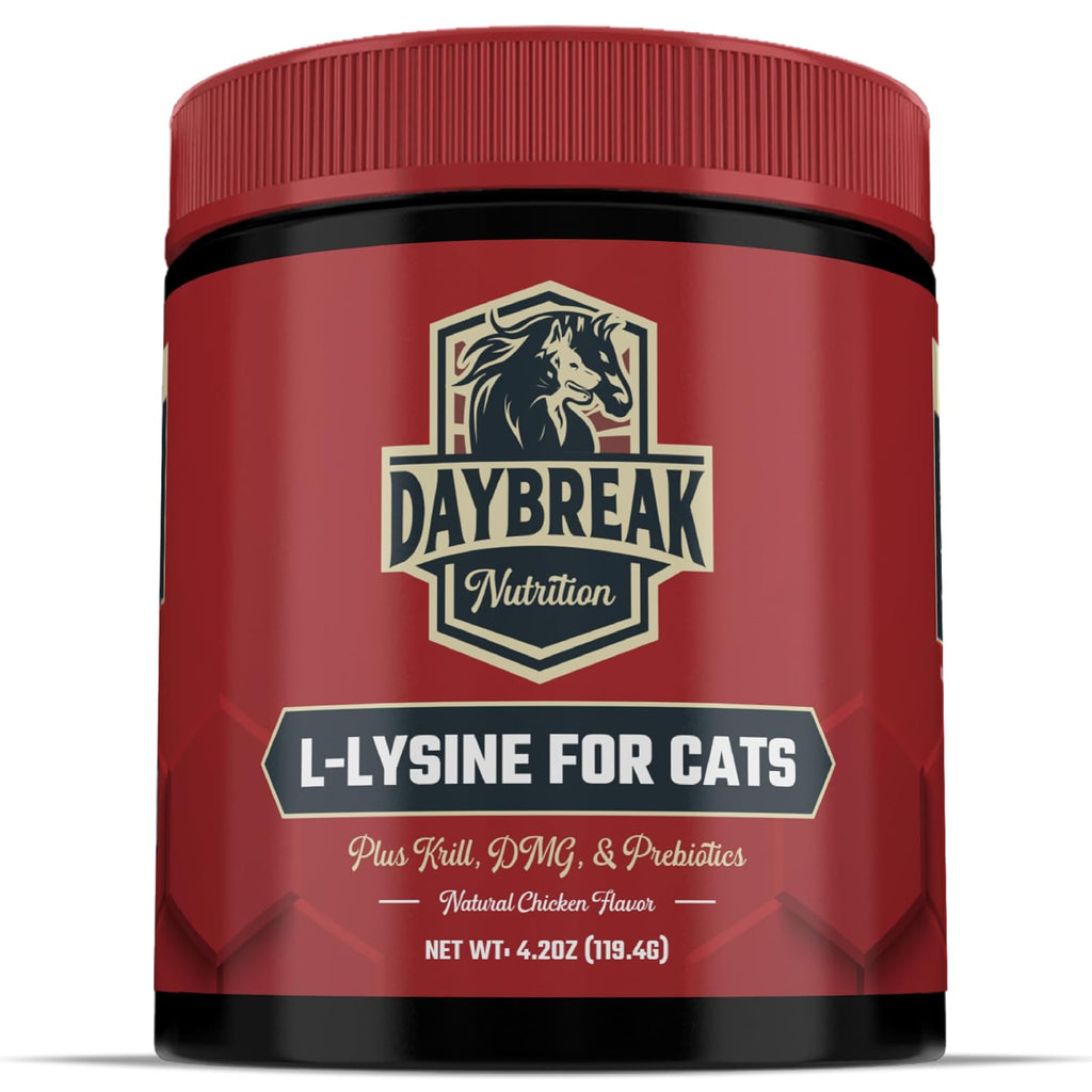 l-lysine powder for immune support
