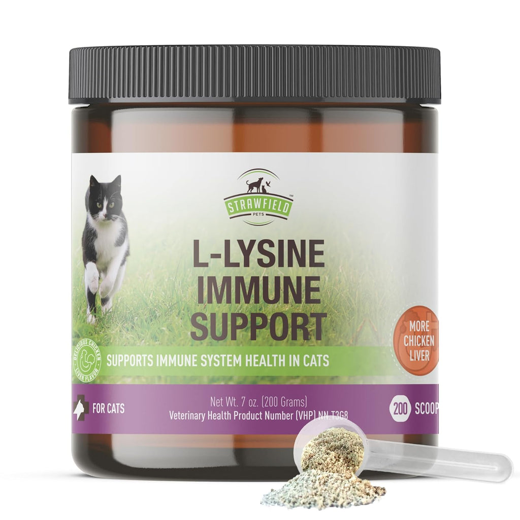 l-lysine powder for immune support