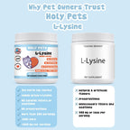 l-lysine powder for muscle recovery