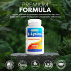l-lysine powder for muscle recovery