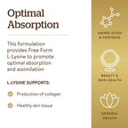 l-lysine powder for optimal health