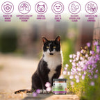 l-lysine side effects and safety