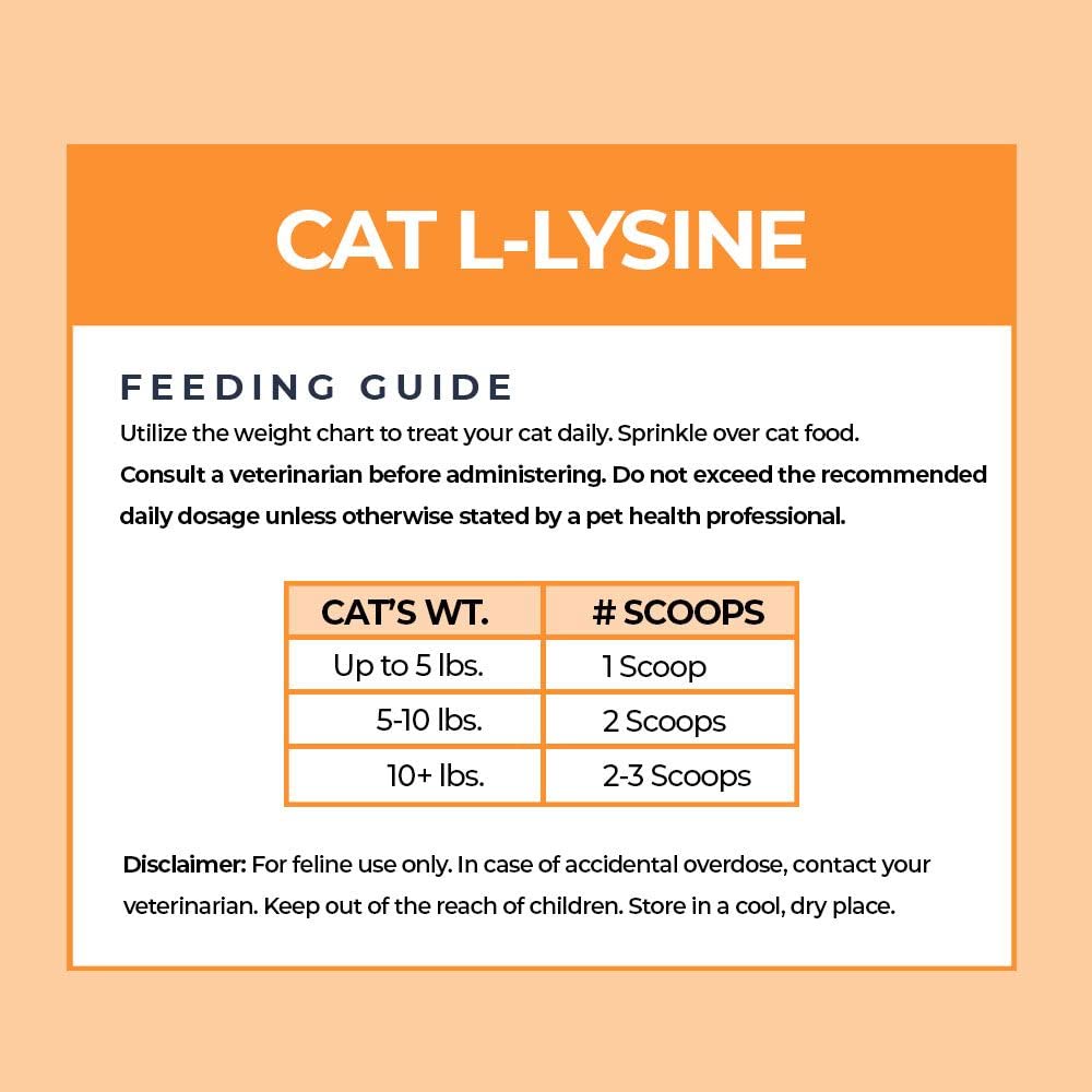 L-lysine side effects in cats