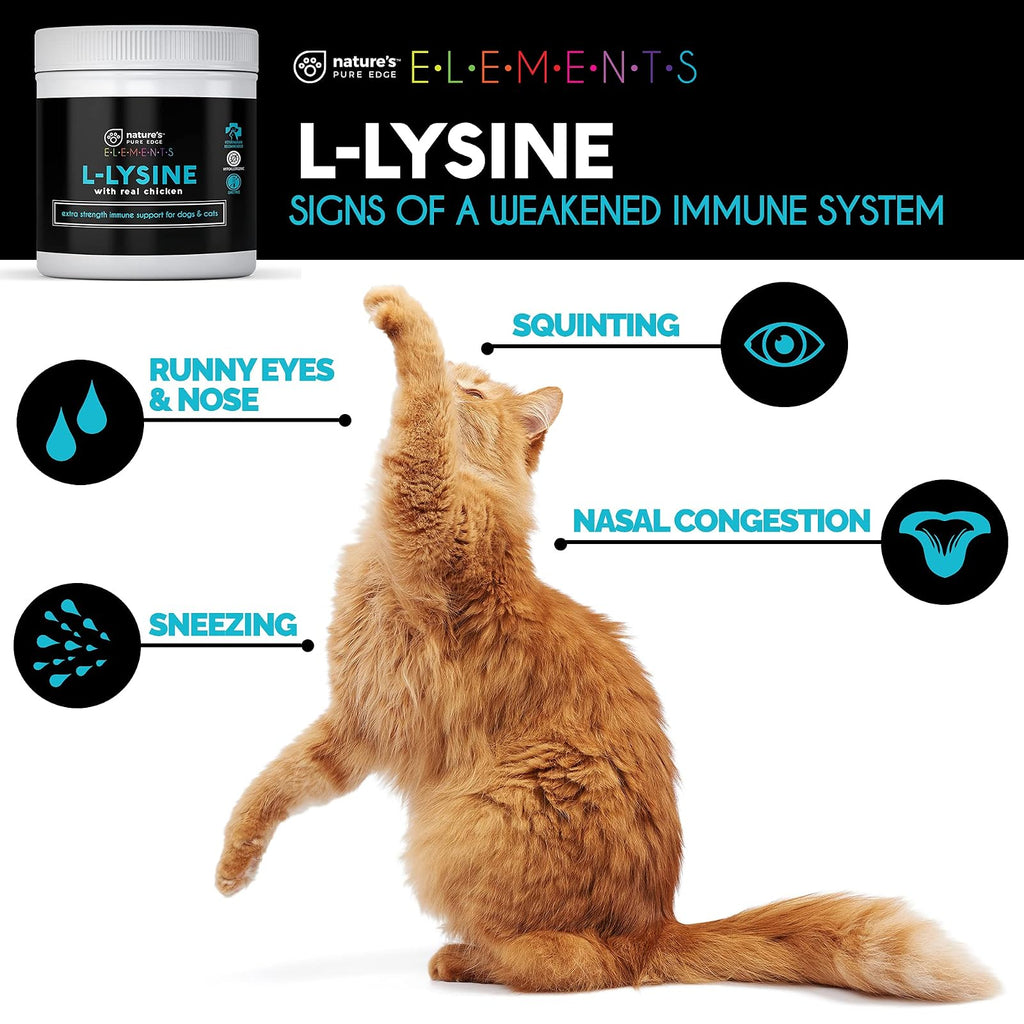 l-lysine side effects in cats