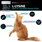 l-lysine side effects in cats