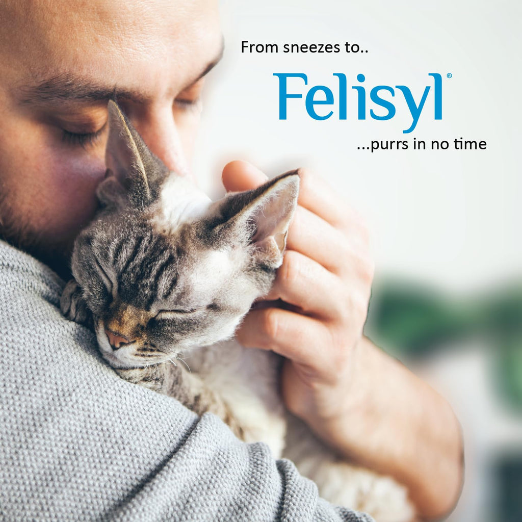 L-Lysine supplement for active cats