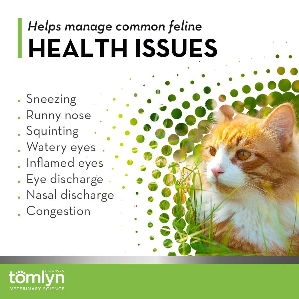l-lysine supplement for feline health