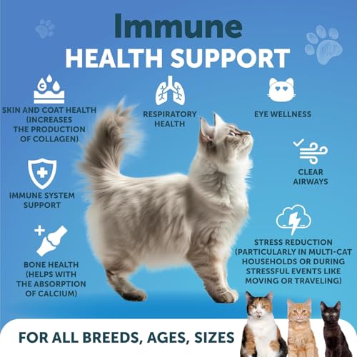 L-lysine supplement for feline health