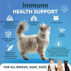 L-lysine supplement for feline health