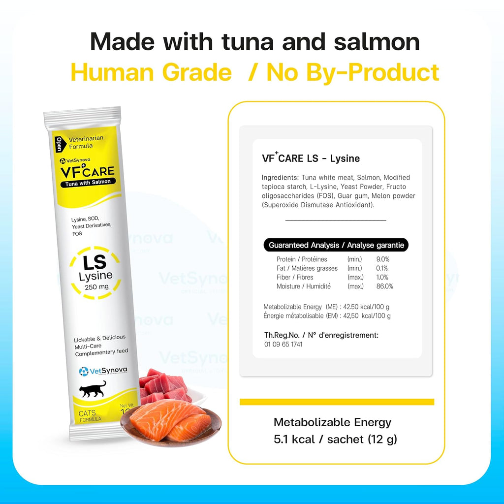 L-lysine supplement for feline wellness