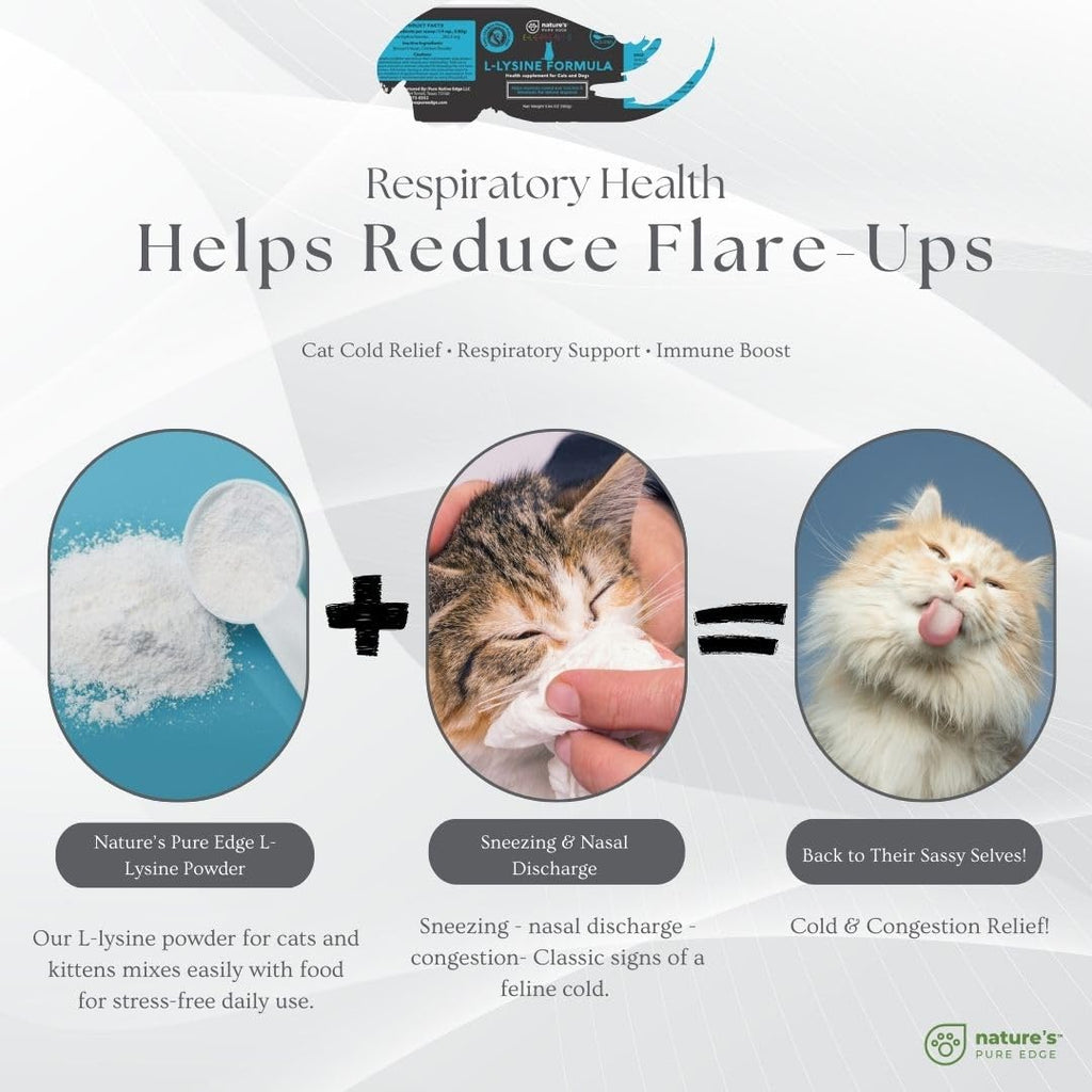 l-lysine supplement for feline wellness