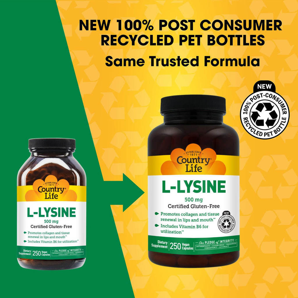 L-Lysine supplement for immune support