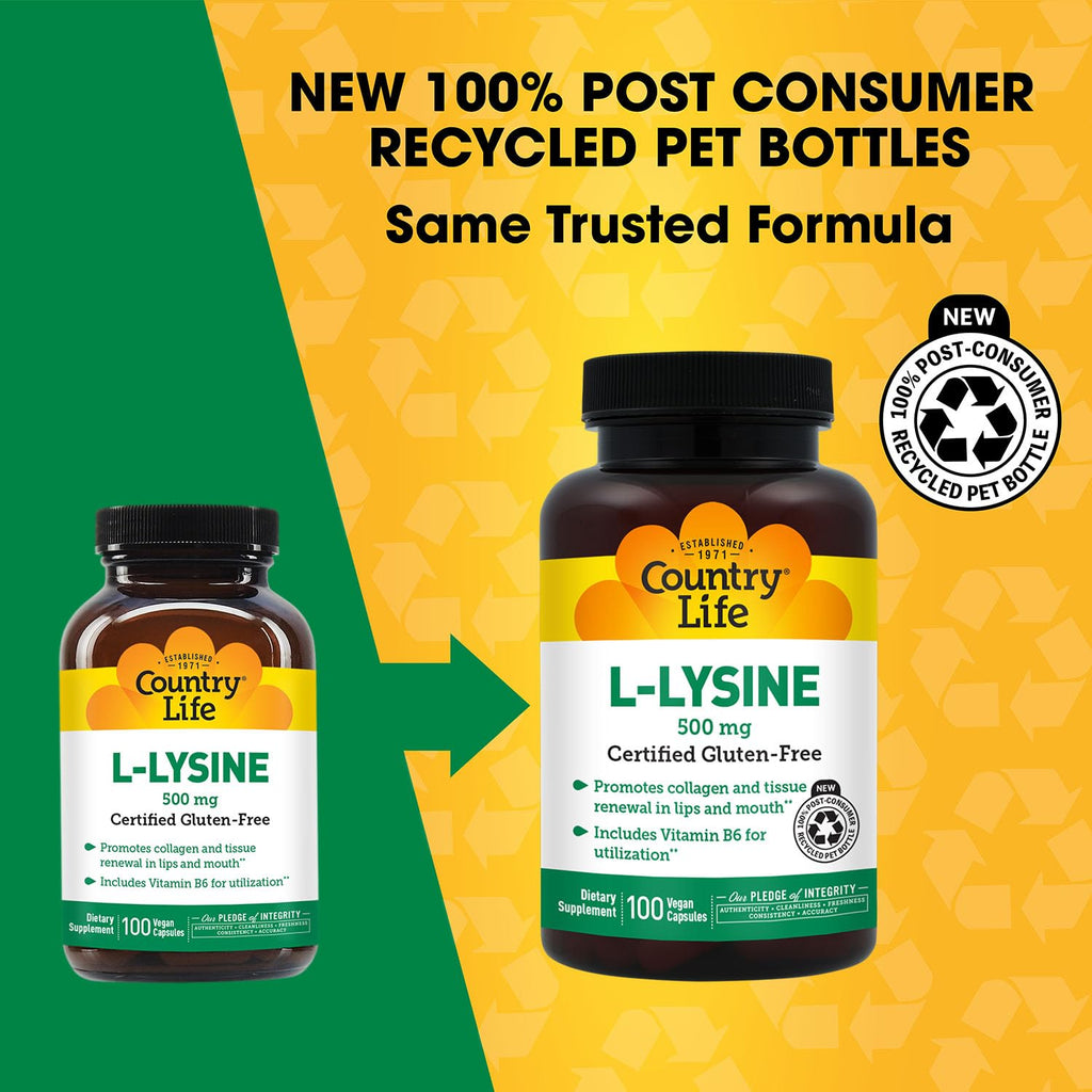 L-Lysine supplement for immune support