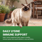 l-lysine supplement for immune support
