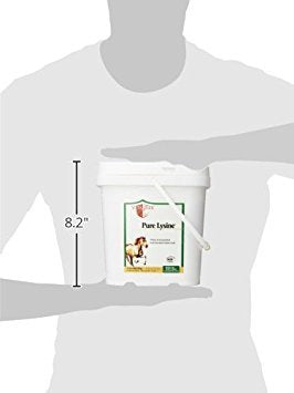 L-Lysine supplement for immune support