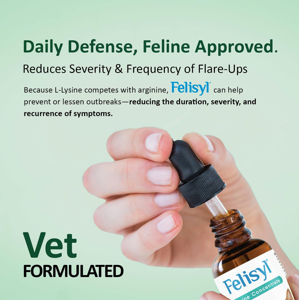 L-Lysine support for feline wellness