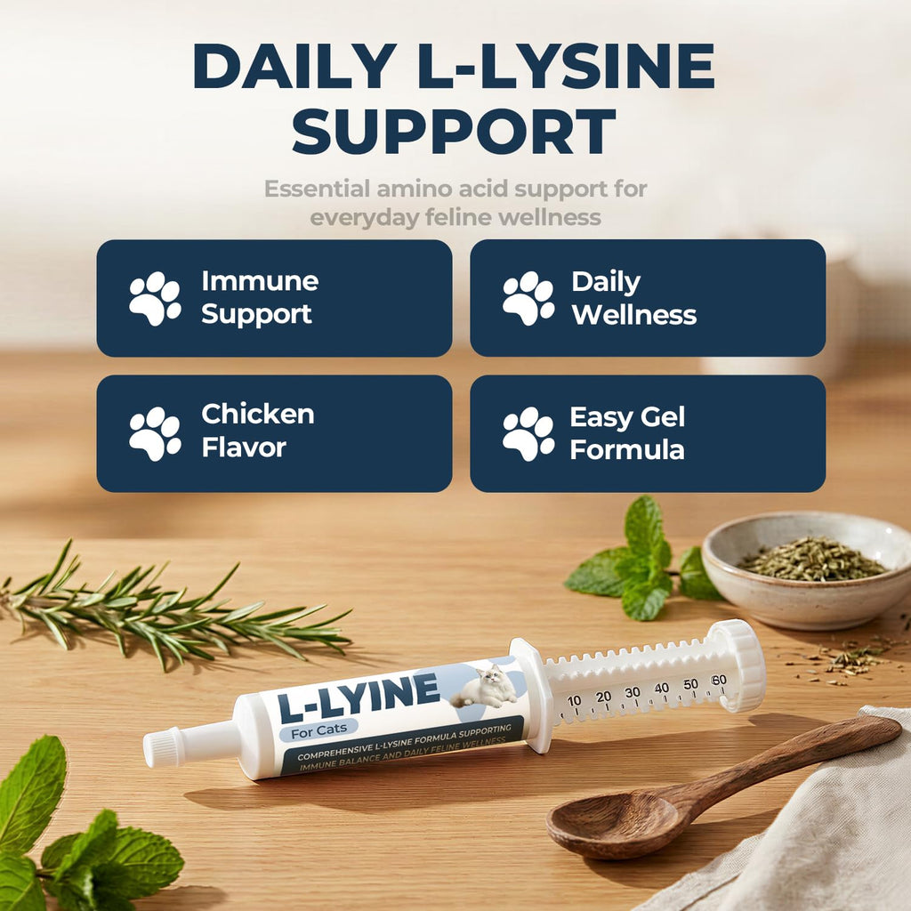 L-Lysine with taurine benefits