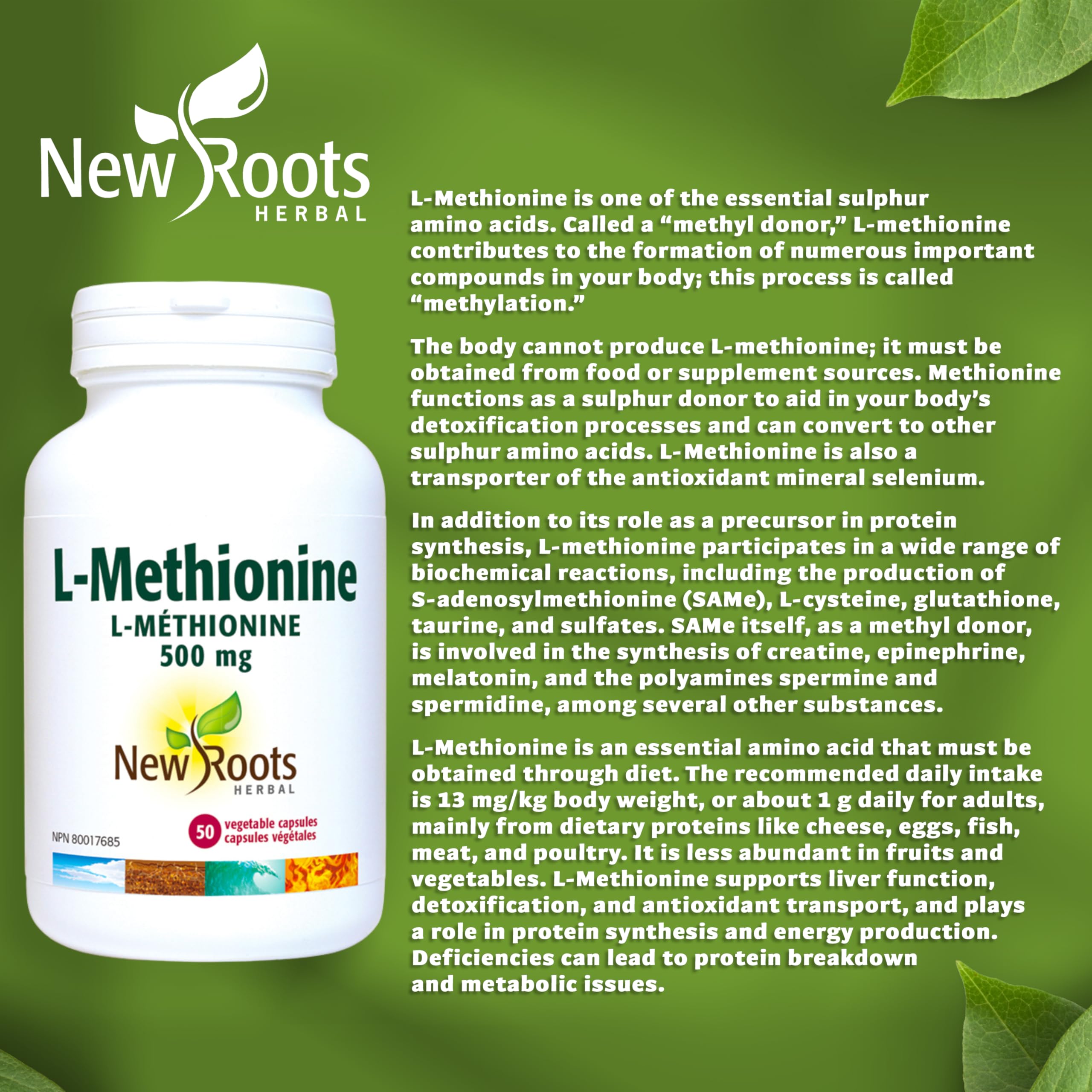 L-Methionine for improved mood