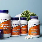 L-Ornithine and L-Arginine synergy